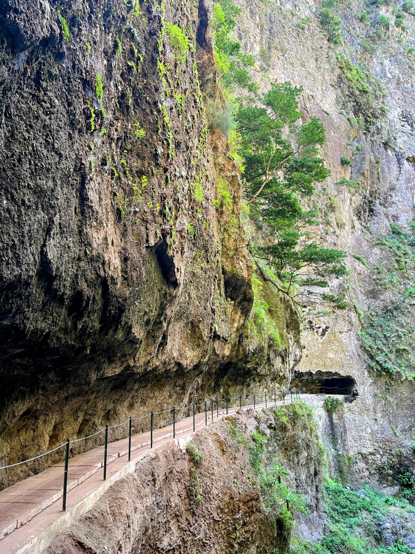 Wanderung entlang der Levada Nova und Levada do Moinho
